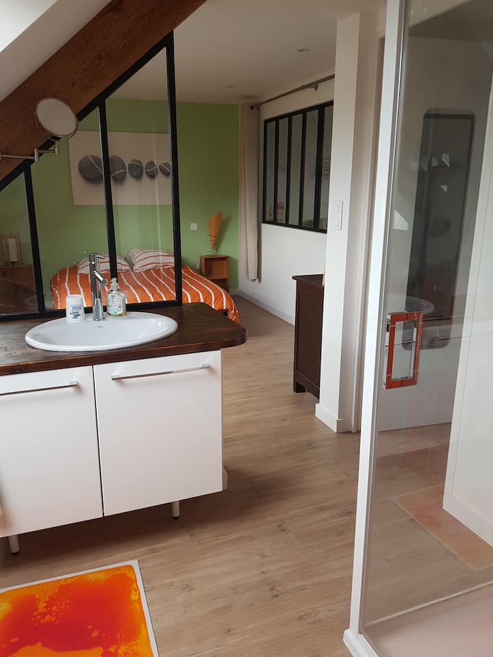 Chambre, Salle D'eau Et Toilettes Privées-vannes. - Vannes