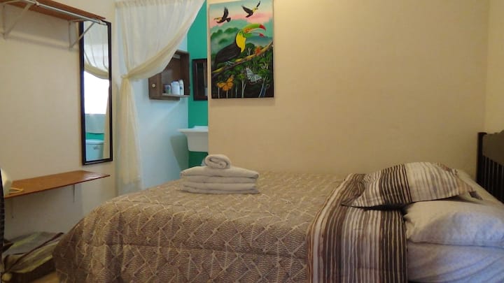 Rainforest Retreat Mini Apartment - Belmopan