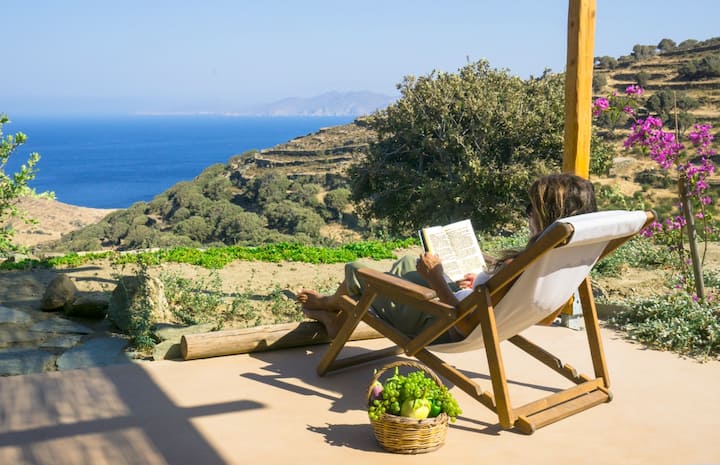 Tinos Ecolodge Small Stone House - Grèce
