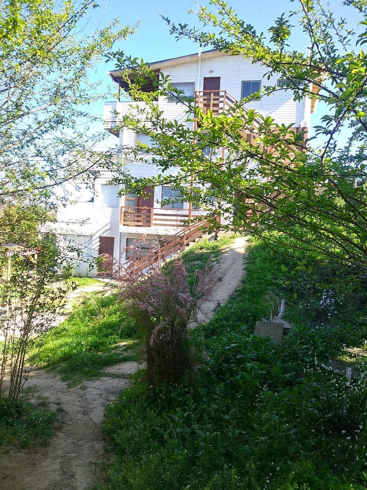 Cabañas Alto El Tabo. - El Tabo