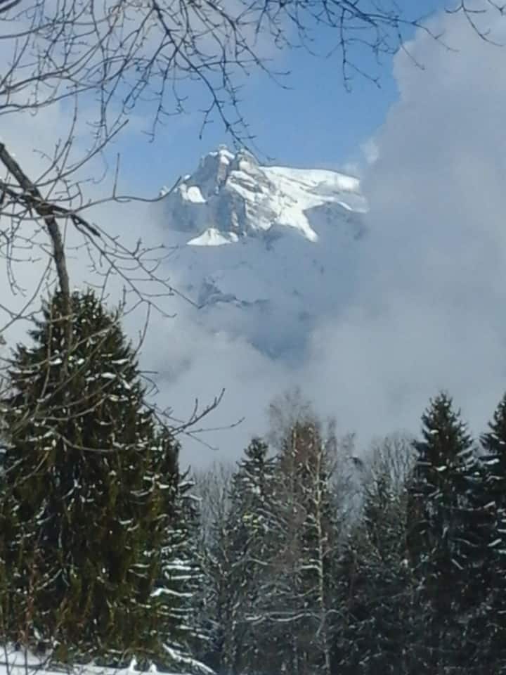 "Le Sommet"  Vue Sur La Chaîne Du Mont Blanc - Sallanches