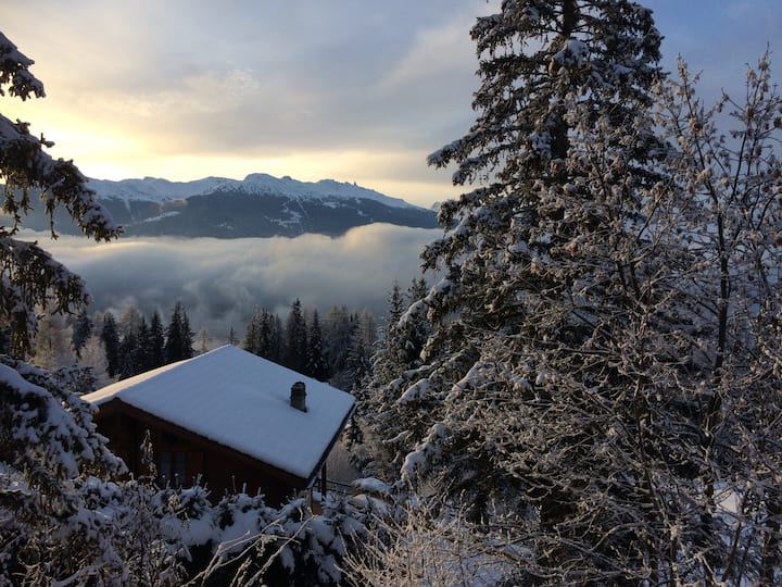 Anzère: Soleil, Vue, Vacances Dans Un Chalet - Anzère