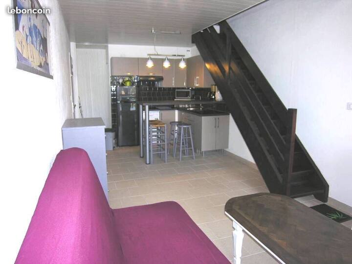 Appartement T2 Duplex Front De Mer. Lacanau Océan - Lacanau Océan
