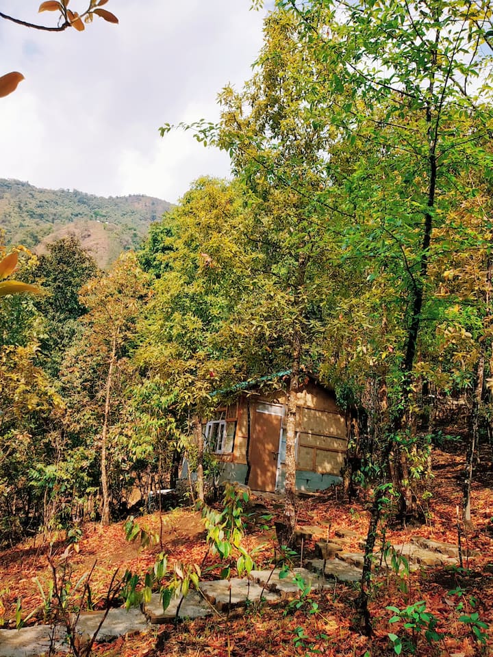 Hornbill View Cottages  Serinety Homestay - Manipur