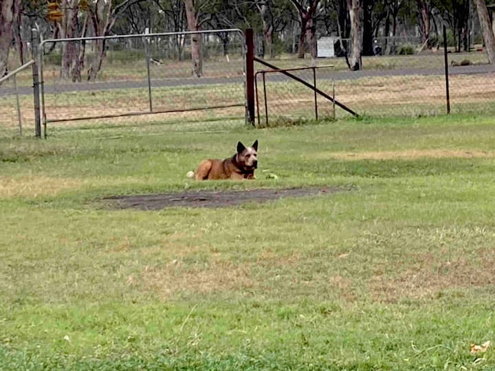 Tranquil Retreat In Magical Country, Qld Outback - Injune