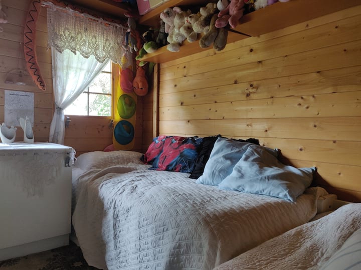 Ei Enää Varattavissa!kesäaittamajoitus Kaupungissa - Seinäjoki