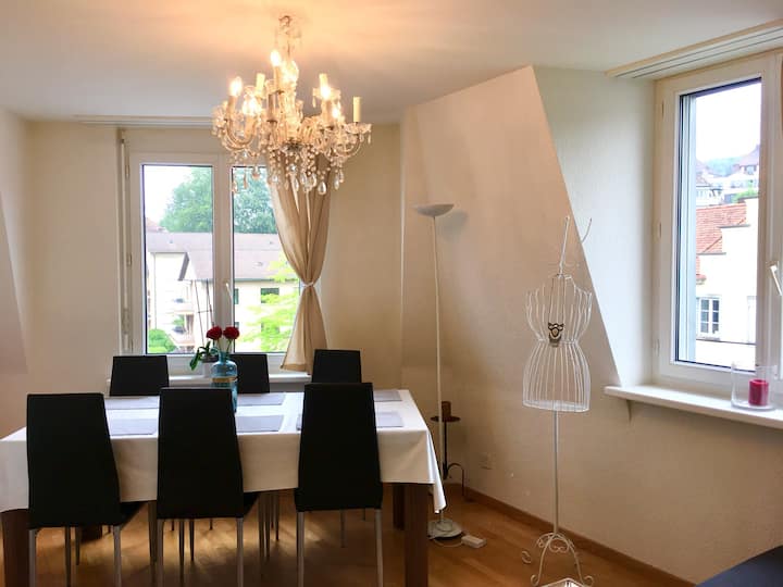 Cozy Room With Nice View & Relax Atmosphere - Zürich