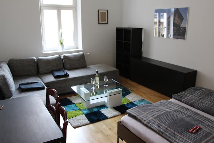 Spacious 3 Room Flat In Silent Neighbourhood - Austria