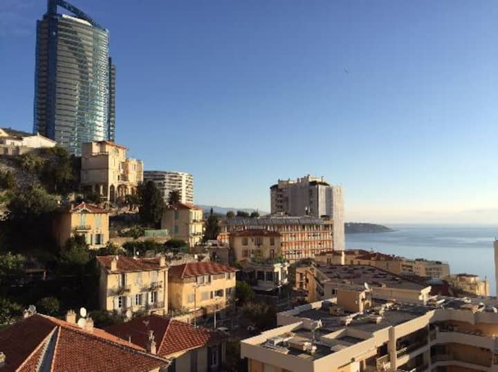 See View Near Grimaldi- Larvotto - Monaco
