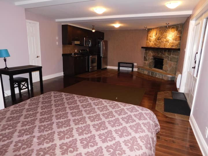 Luxurious Studio - Pointe-Claire