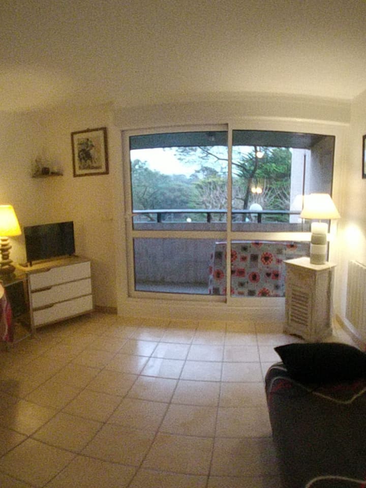 Mignon 4 Places Seignosse Penon 5mts Plage - Seignosse