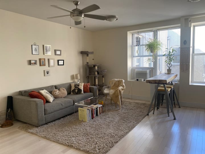 Quiet, Bright 1br Apt In Brooklyn By Prospect Park - Brooklyn, NY