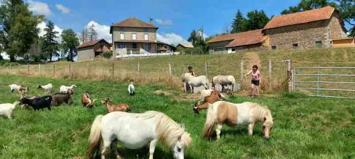 Gîte "La Prairie Des Animaux" - Département Cantal