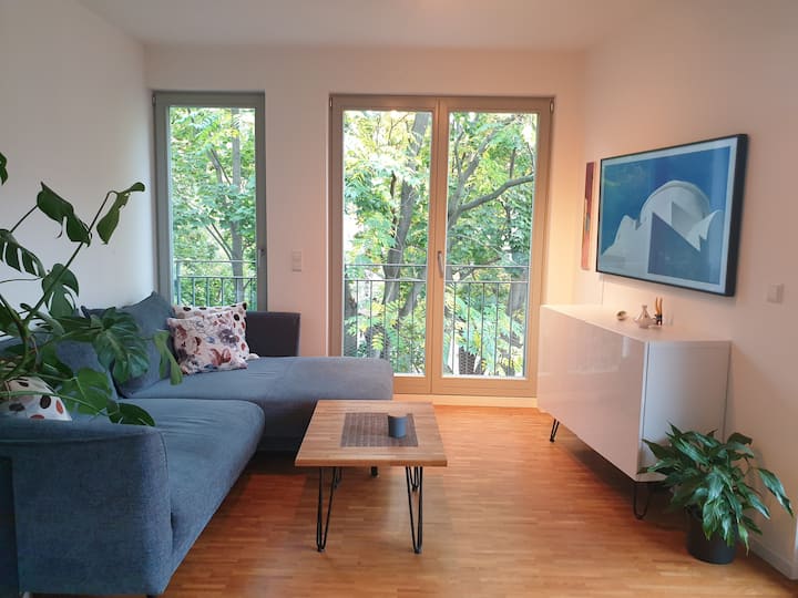 Magnifique Appartement D'une Chambre - Dresde