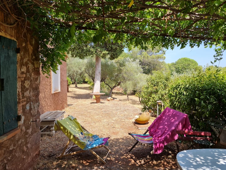 Cabanon Provençal - Pierrefeu-du-Var