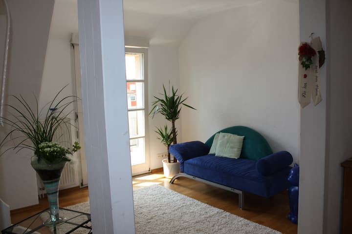 1,5–stöckige Atelierwohnung Mit Traumblick - Singen