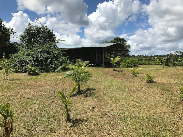 Maisonnette : Offrez-vous Une Vraie Pause Nature - Guyane française