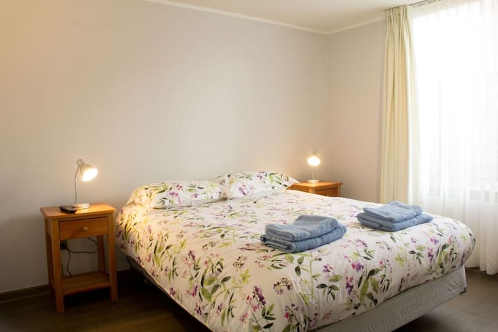 Charming Apartment! Downtown Metro - Santiago