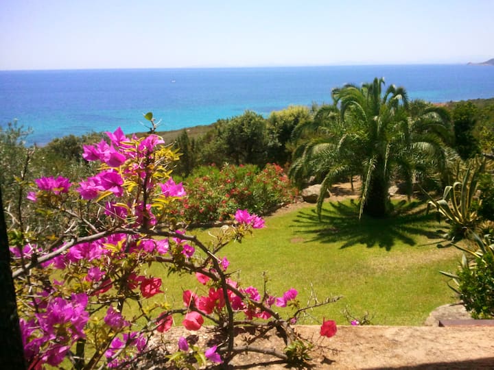 Villa Palombaggia 6 Personnes - Porto Vecchio