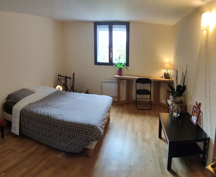 Chambre Tranquille Avec Vue Sur Le Lac Léman - Lake Geneva