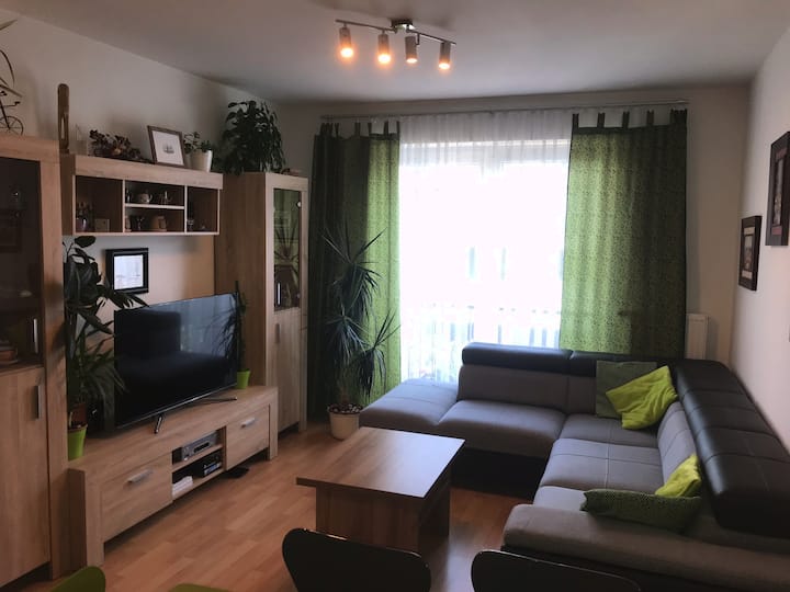 Cosy Apartment At The Brno’s Dam And Near Center - Brno