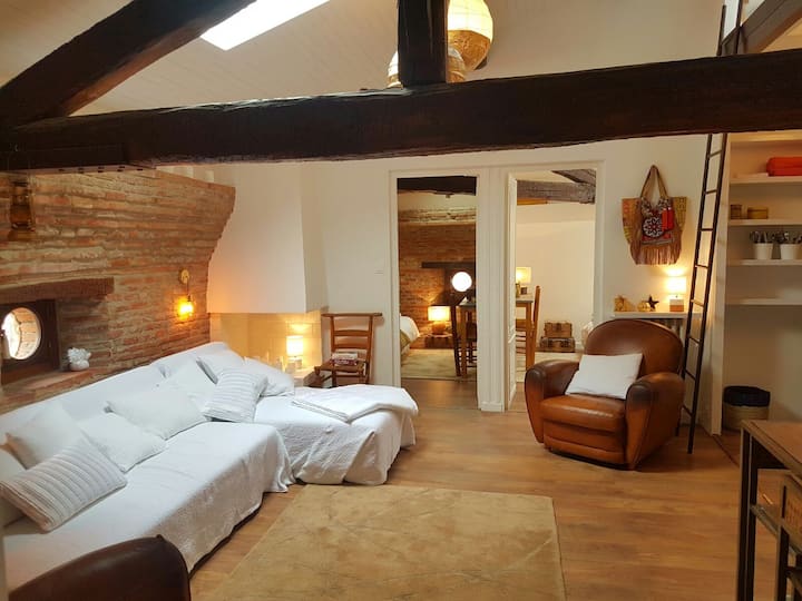 Bel Appartement De Caractère Hyper Centre Toulouse - Toulouse