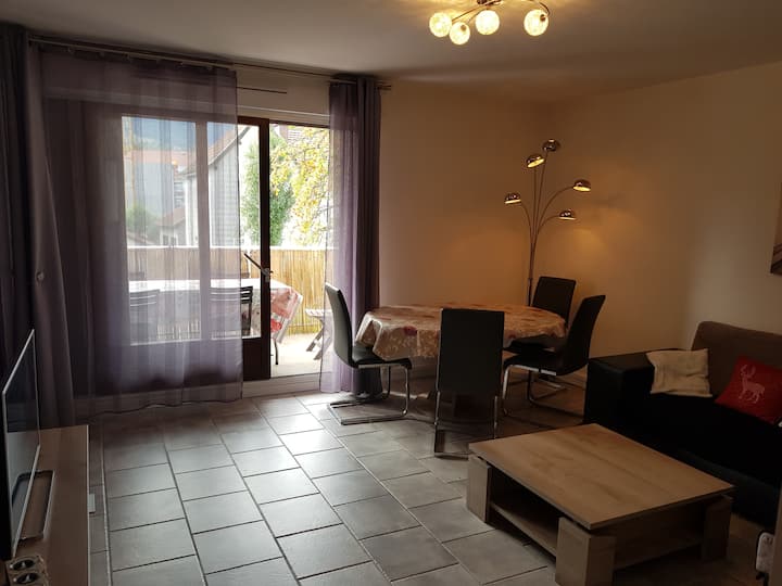 Renovierte Wohnung In Residenz 4-5 Personen 300 M Vom Stadtzentrum Und Dem See - Gérardmer
