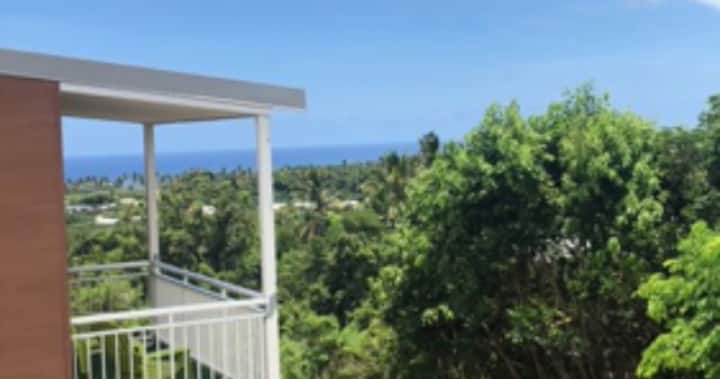 Logement Vue Mer Et Montagne à La Bretagne - Saint-Denis