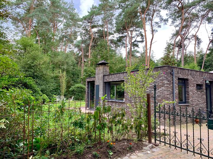 Vrijstaande Bosbungalow Met Veel Privacy. - Mol