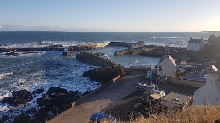 Charming Refurbished Cottage With Sea View And Lovely Garden - Coldingham