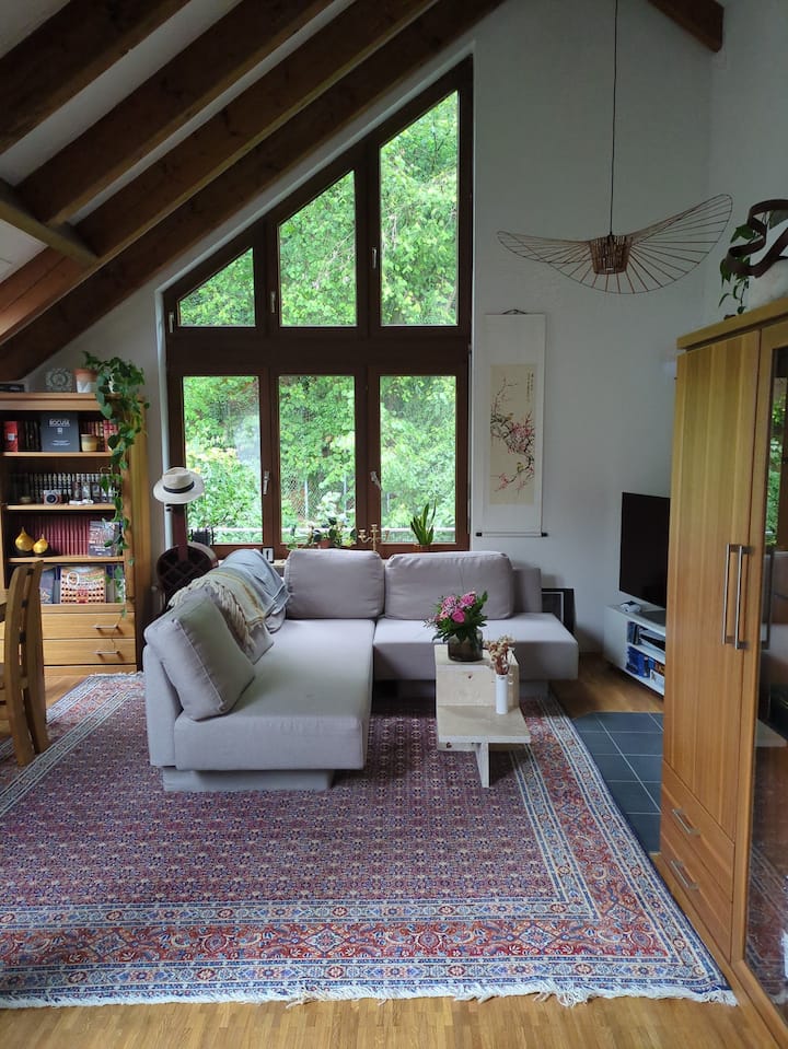 Gästezimmer Mit Sofabett In Stuttgart - Stuttgart