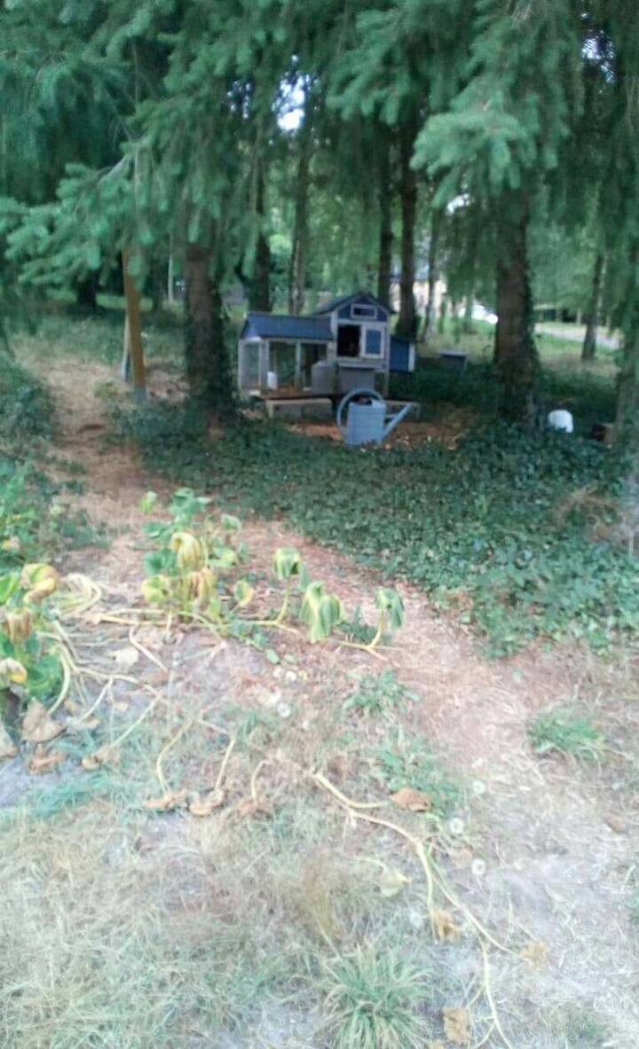 Domaine Des Fées Pour Les Aventuriers - Paimpont