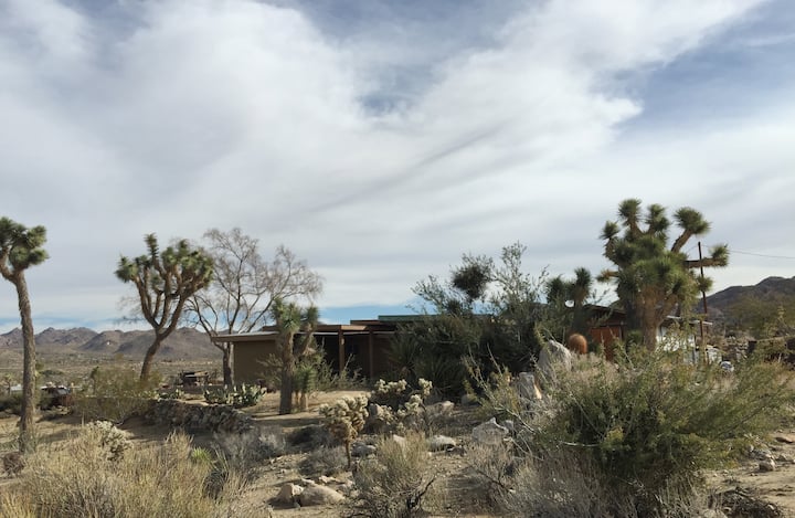 Atomic Trailer Ranch Artist Retreat Amazing Views! - 조슈아트리
