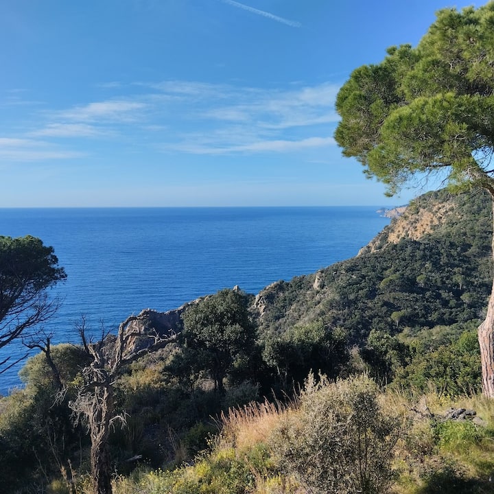Appartement Avec Vue Merveilleuse Et Plage. - Costa Brava