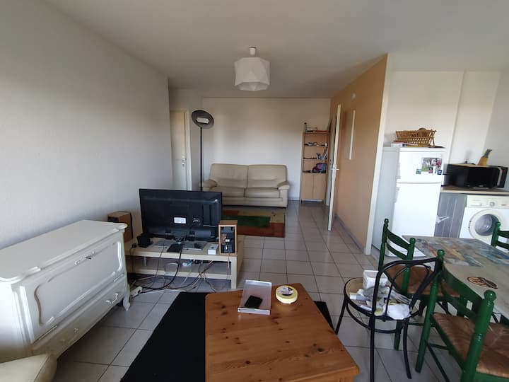 2 Pièces De 47 M2 - Toulouse
