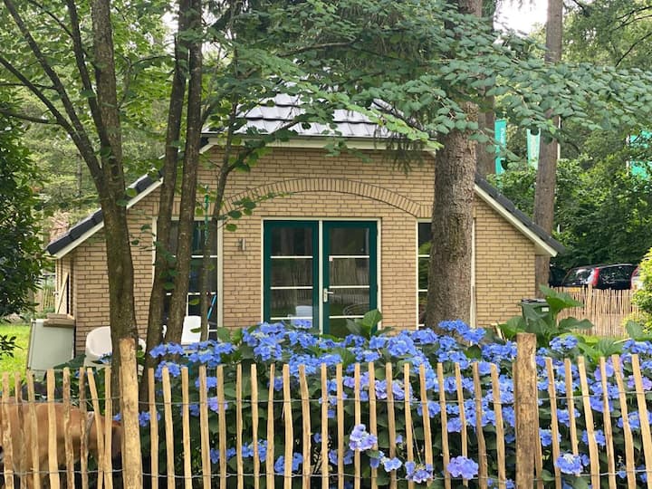 Vakantiewoning Aan Het Bos Op De Veluwe Privétuin - Pays-Bas