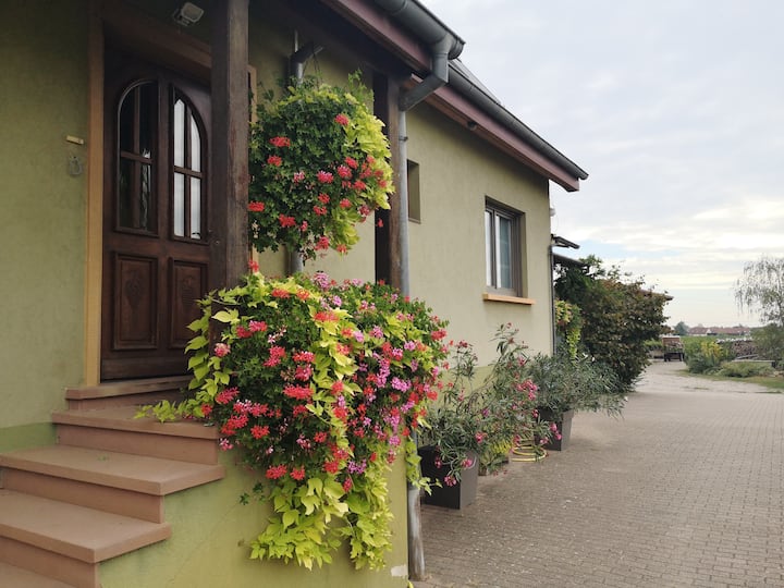 Gîte Du Hengst, 3*
Entre Villages & Châteaux - Eguisheim