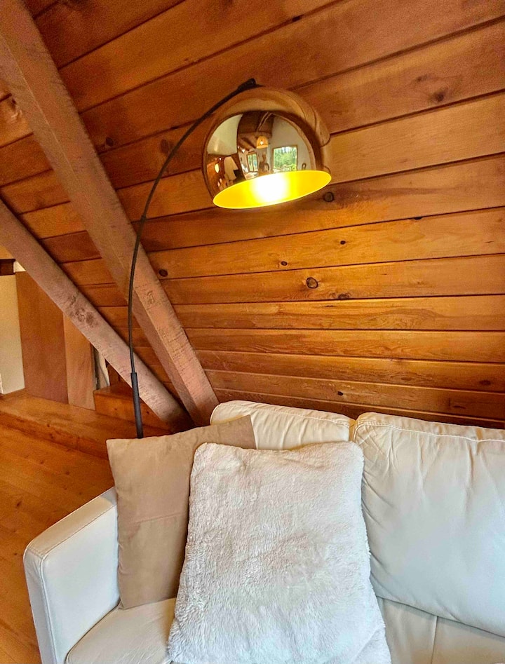 Organic-mod Coastal Rainforest Aerie Retreat - Juneau, AK