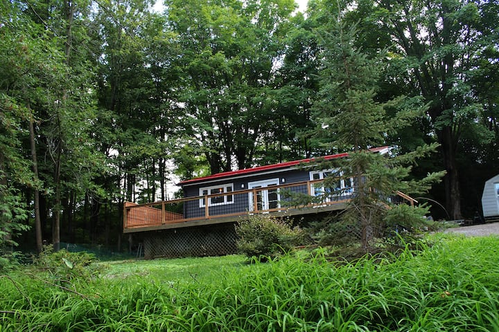 Cozy Hilltop Cabin - Prince Edward