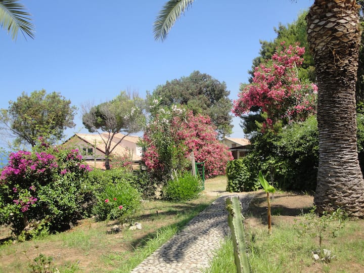 Casa Della Bouganville Con Vista Sul Mare - Tropea