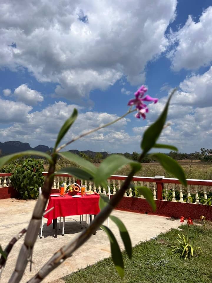 Vista A La Campiña Papo&mileidys 2 - Vinales