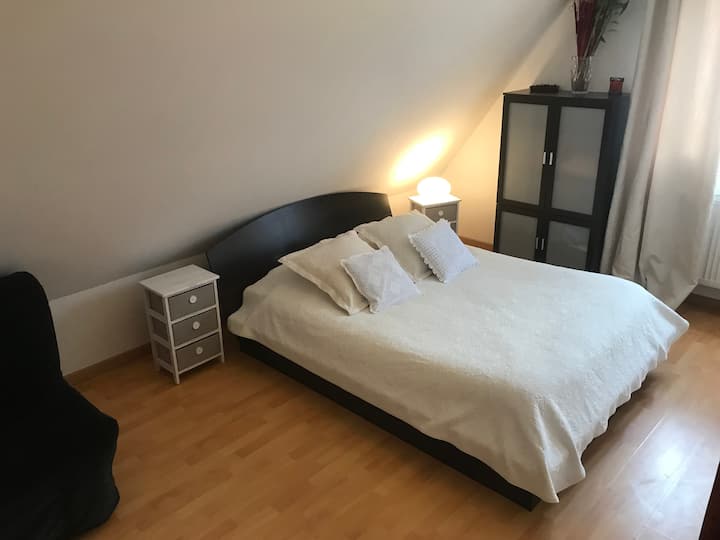 Gite Du Vignoble - Riquewihr