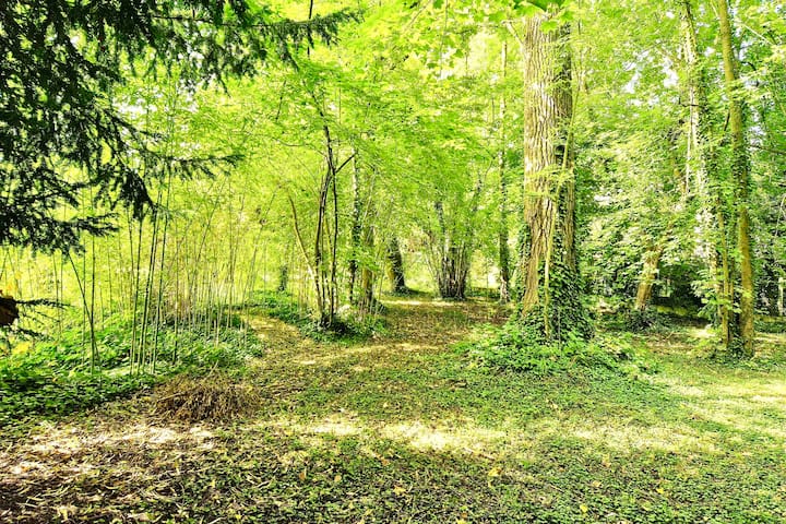 Villa Edouard 180m2 En Pleine Nature, 20min Disney - Claye-Souilly