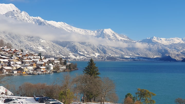 Lakeside Apartment - Brienz