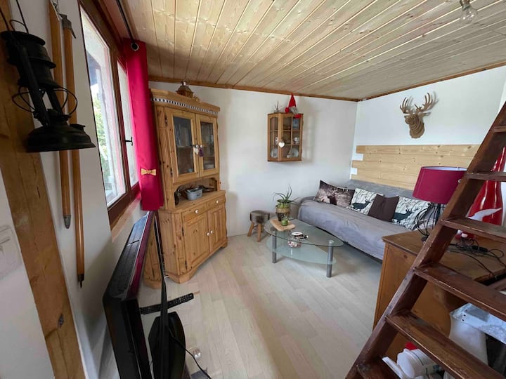 Studio à 30 Minutes Des Pistes - Bonneville