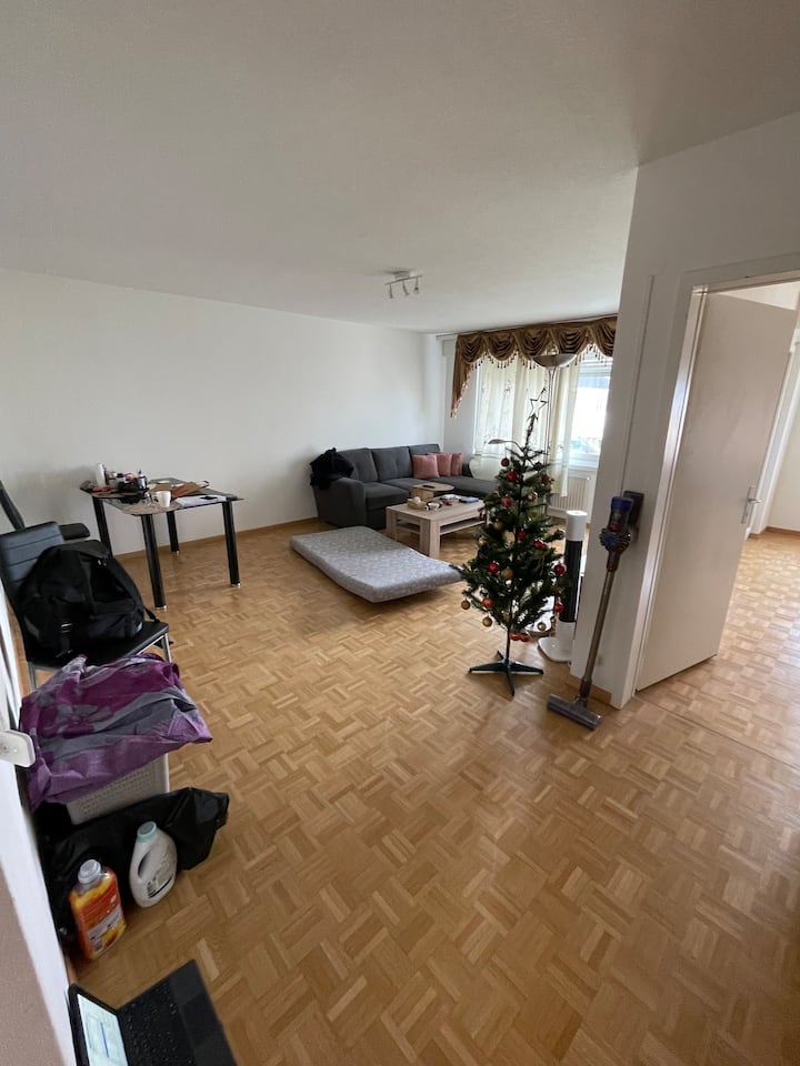Entire Apartment In Regensdorf - Zurich