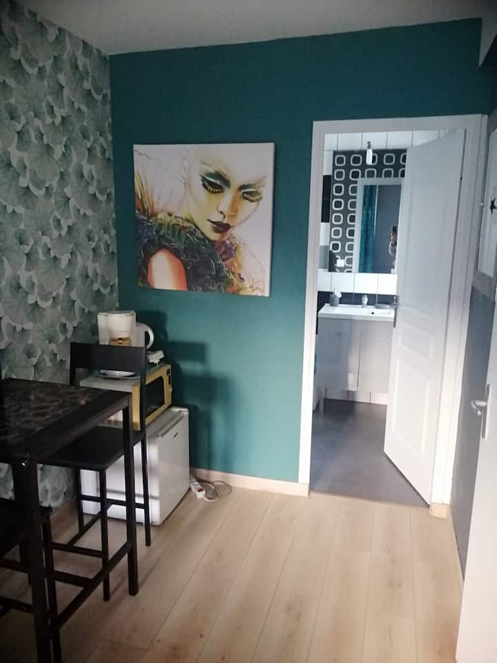 Belle Suite Calme Proche Bassin - Andernos-les-Bains