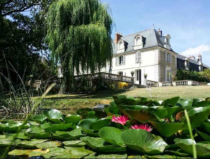 Río Loire Chateau Con Piscina Climatizada, Casa Del áRbol, Tenis - Tours