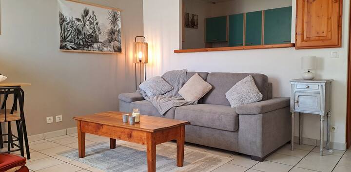 Le Cosy Tarentaise, T2 De 42m2 - Albertville