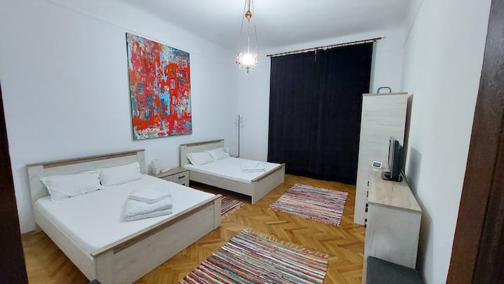 Cătălina Residence In The Historical Center - Timișoara